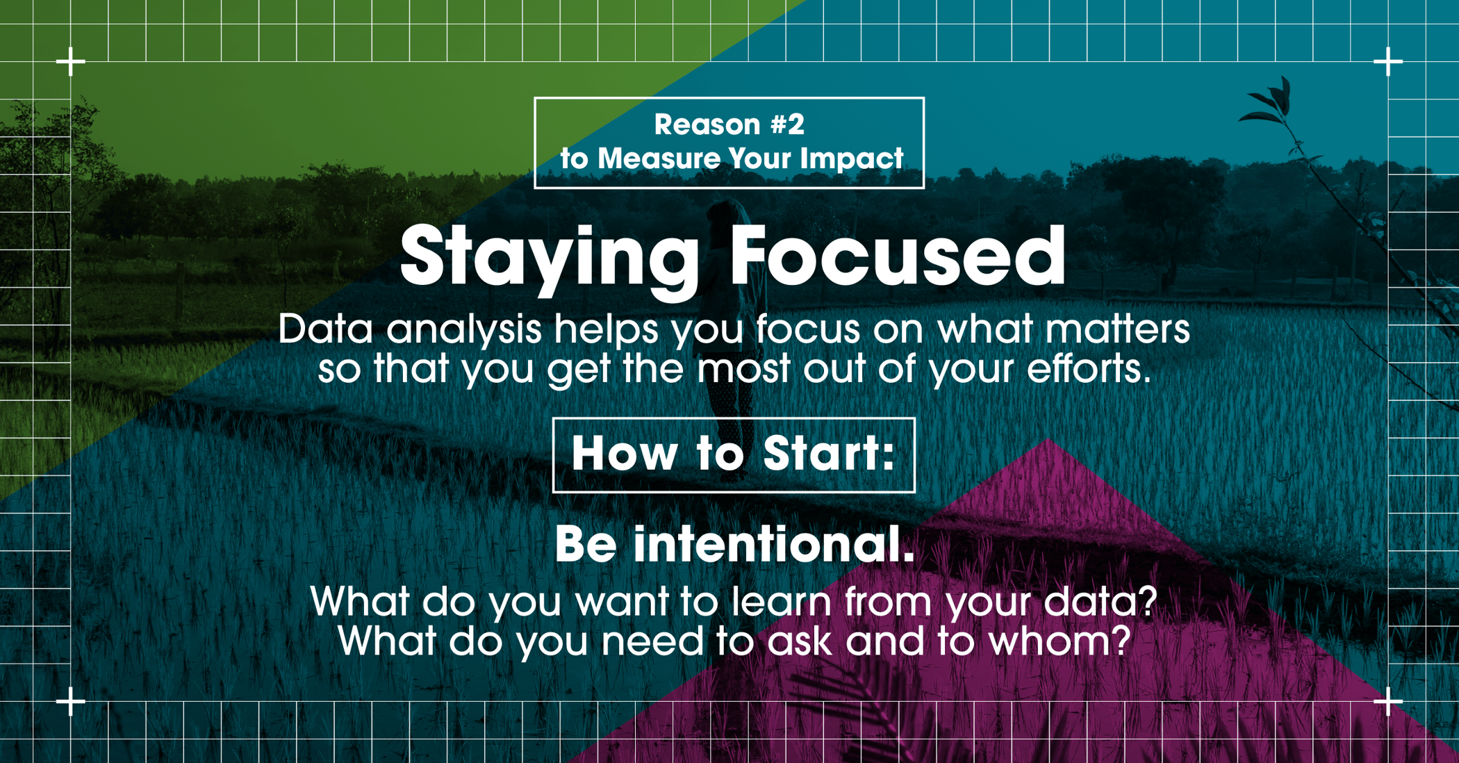 How to Measure Social Impact: Why You Need To + 4 Ways to Start